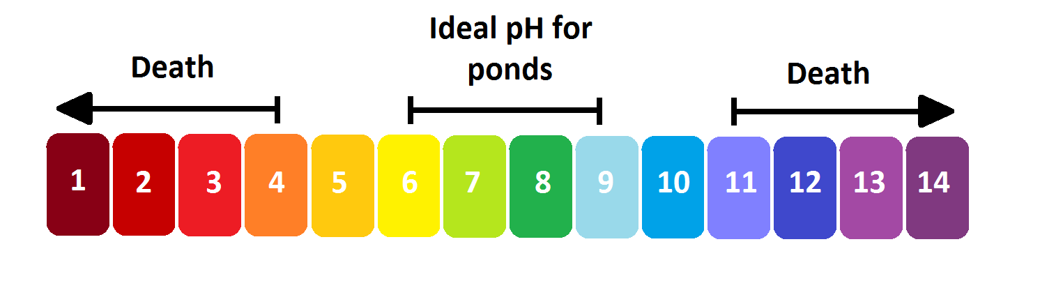 Water Quality: PondXpert - Buy pond liners, pond pumps, pond filters ...